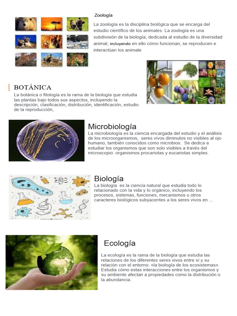 Ramas de Ciencia | PDF | Biología | Óptica