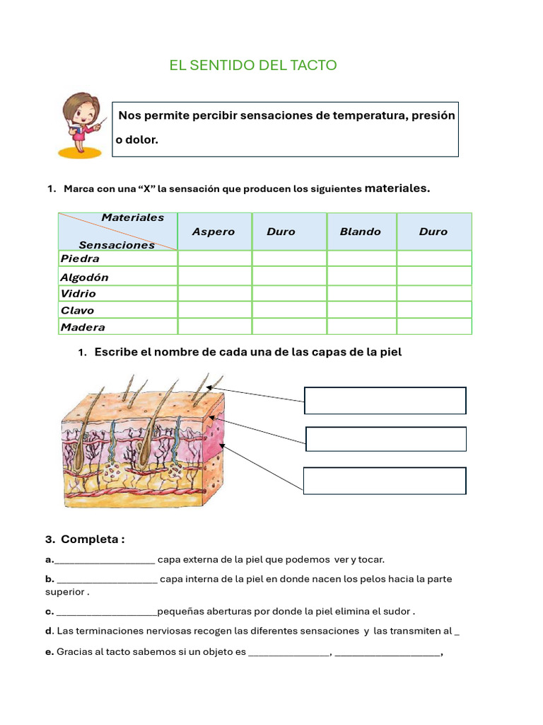 El Sentido Del Tacto | PDF
