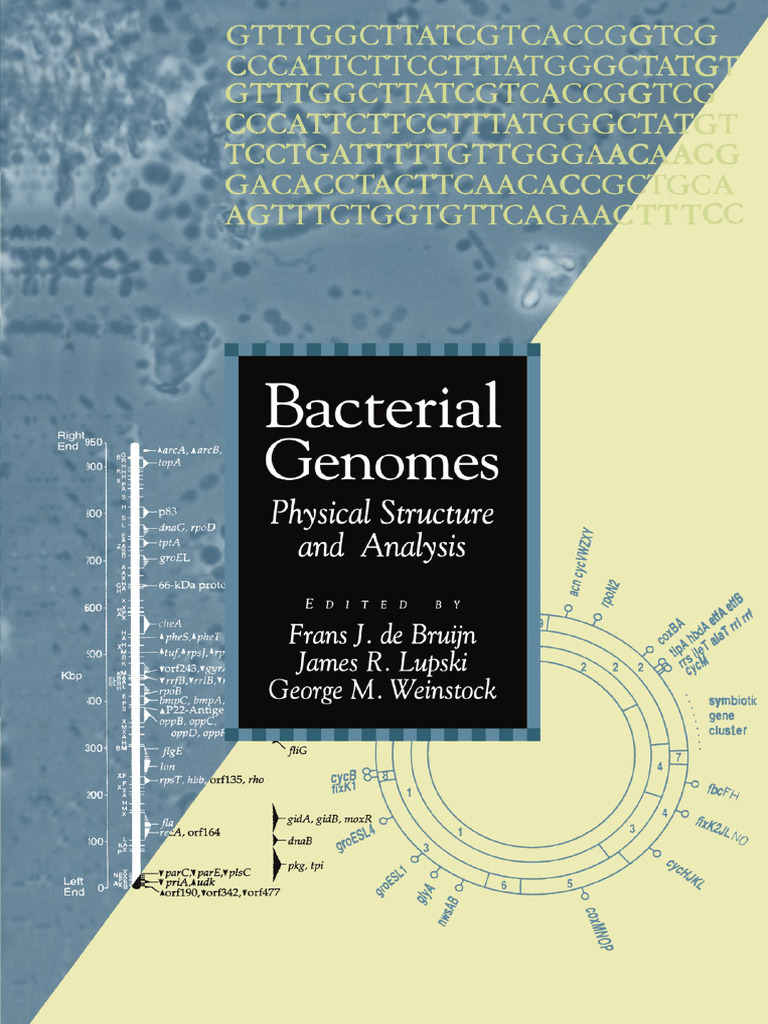 Bacterial Genomes 1998 | PDF | Genome | Restriction Enzyme