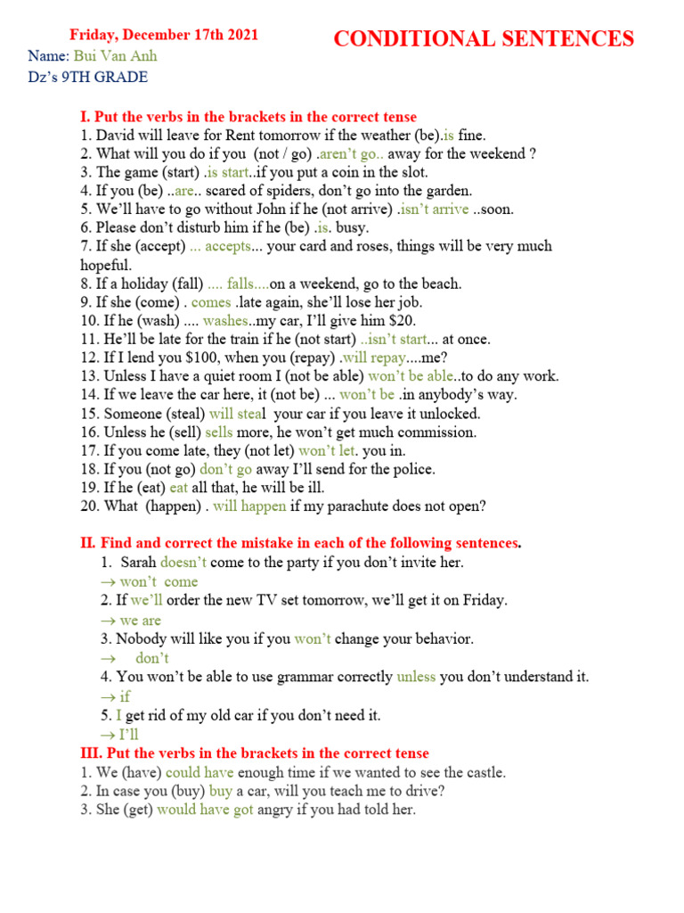 Dz's 9th, 17.12 - Homework - Conditional Sentences | PDF