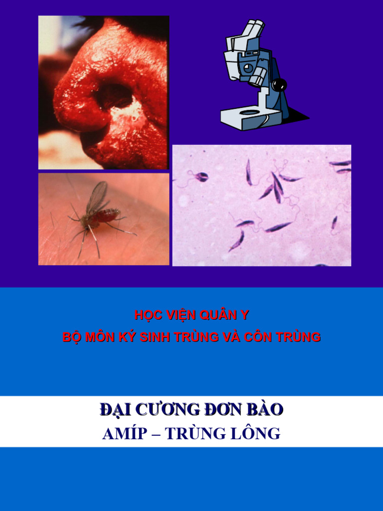 Dai Cuong Don Bao Amip Ly Trung Long 2019 | PDF