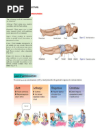 Aaos Rom Values | PDF | Anatomical Terms Of Motion | Limbs (Anatomy)