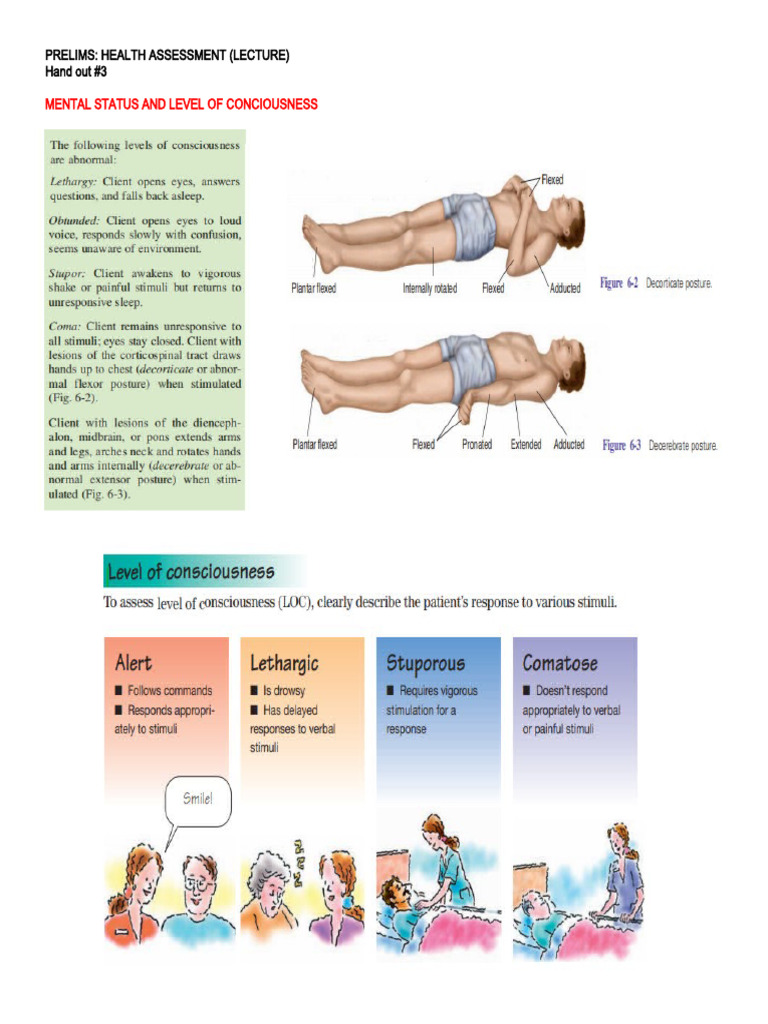 Prelims Handout Week 3 & 4 | PDF | Headache | Skull