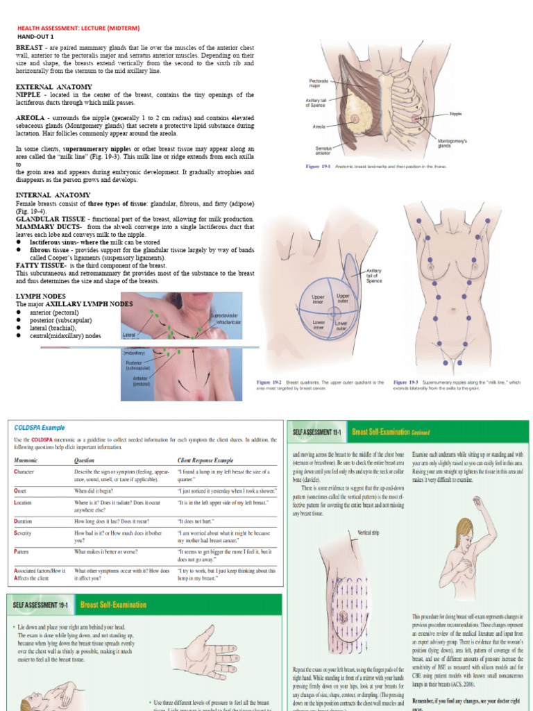 Lecture Midterm Handout 1 | PDF | Heart Valve | Heart Lecture Midterm Handout 1 | PDF | Heart Valve | Heart