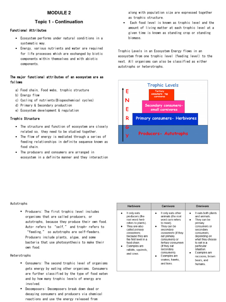 Module 1 - Continuation | PDF | Food Web | Ecosystem