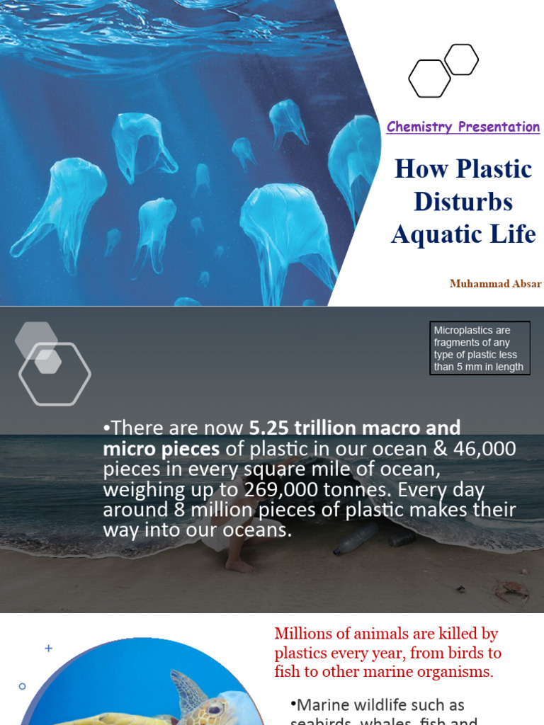 Plastic's Impact on Marine Life | PDF | Home & Garden | Technology ...