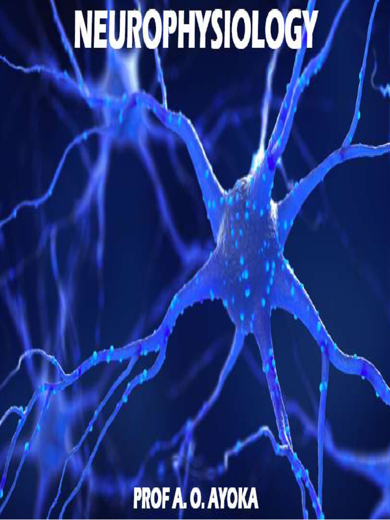 Neurophysiology: CNS and Neuron Functions | PDF | Nervous System ...