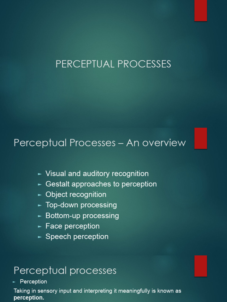 2.4 Perception | PDF | Perception | Senses