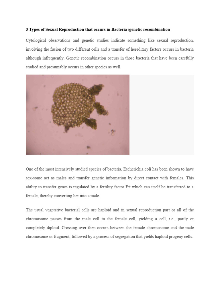 Bacterial Genetic Recombination | PDF | Bacteriophage | Transformation (Genetics)