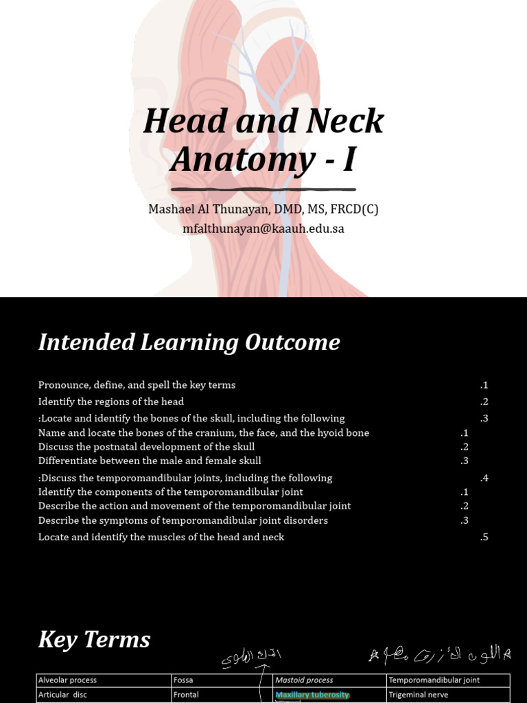 Head and Neck Anatomy Lec1 | PDF | Skull | Tongue