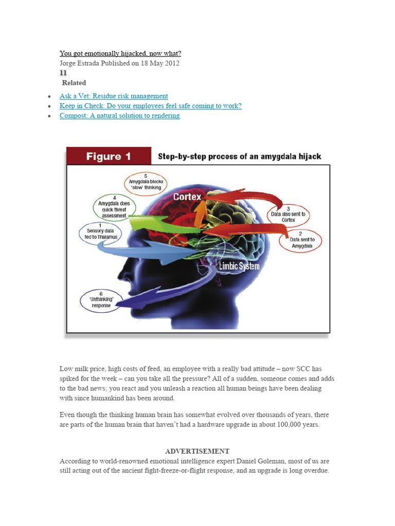 Amygdala Hijacked | PDF | Amygdala | Memory