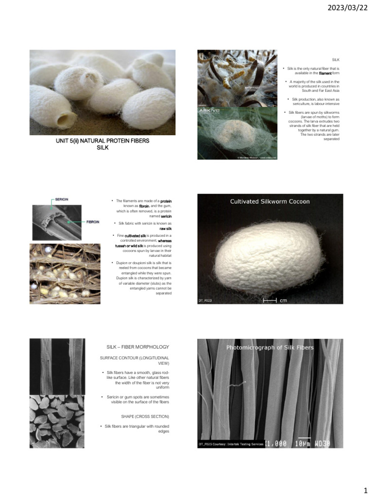 Unit 5ii Handouts - Natural Protein Fiber-Silk | PDF | Silk | Textiles