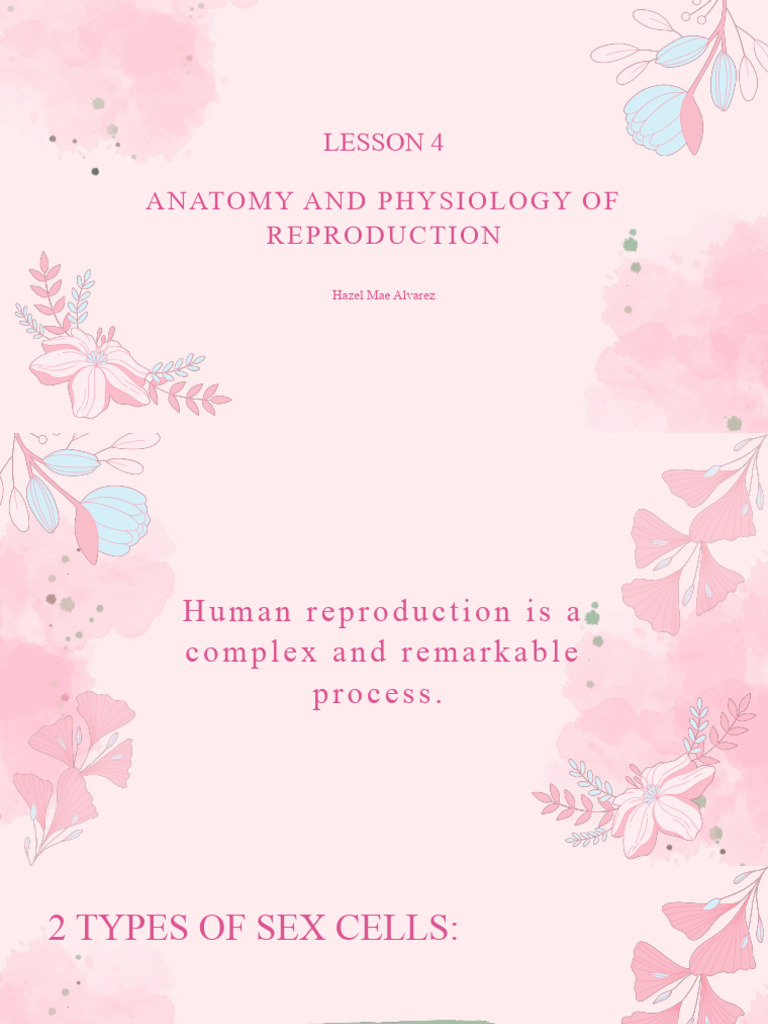 Lesson 4 Anatomy and Physiology of Reproduction | PDF | Human Body ...