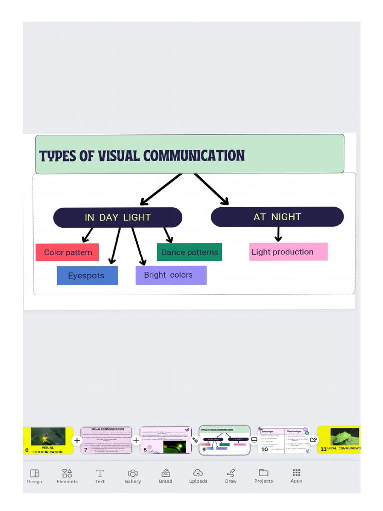 Types of Visual Classifications | PDF