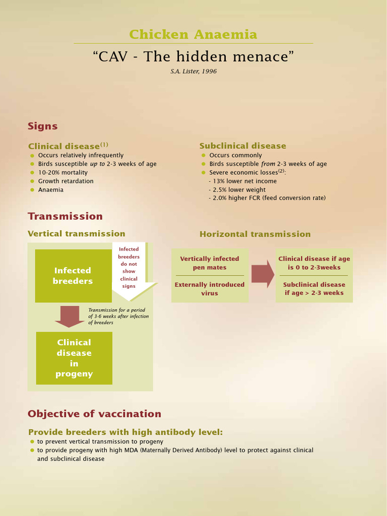 Nobilis CAV P4 Brochure.. | PDF | Medical Specialties | Diseases And ...