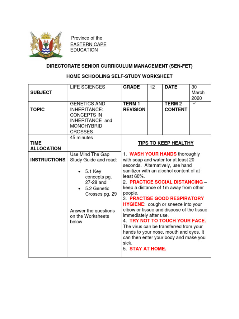 Life Sciences Worksheet 1 Genetics | PDF | Genotype | Dominance (Genetics)