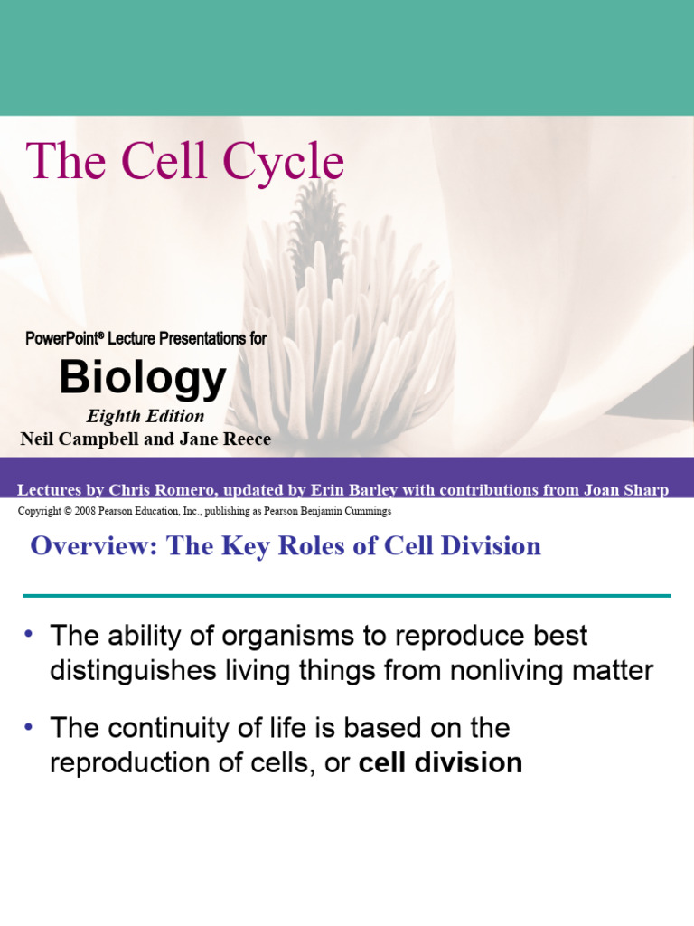 Cell Cycle Pdf Mitosis Chromosome