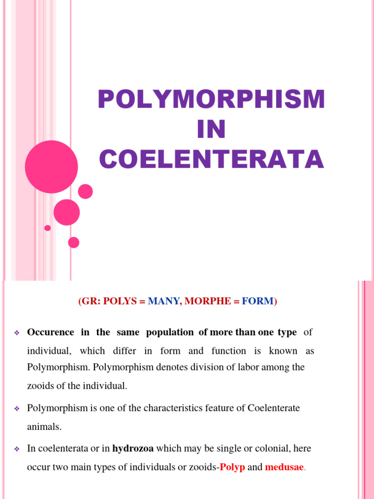 Polymorphism in Coelenterates | PDF | Polymorphism (Biology) | Zoology