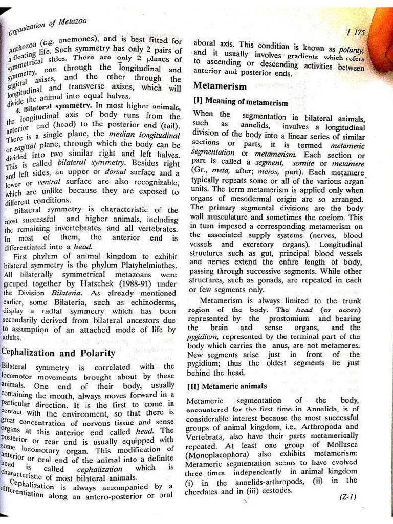 Metamerism Notes | PDF