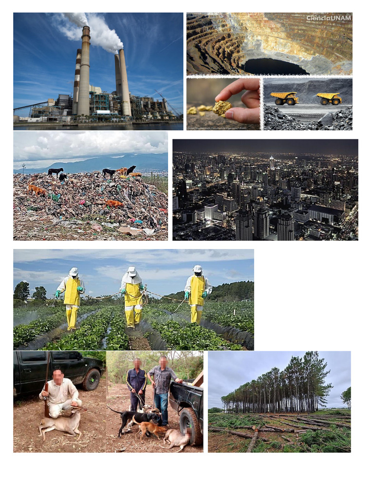 IMÁGENES INTERVENCIÓN HUMANA EN LOS ECOS... | PDF