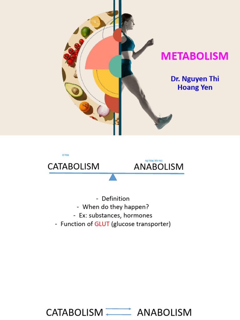 METABOLISM | PDF | Metabolism | Metabolic Syndrome