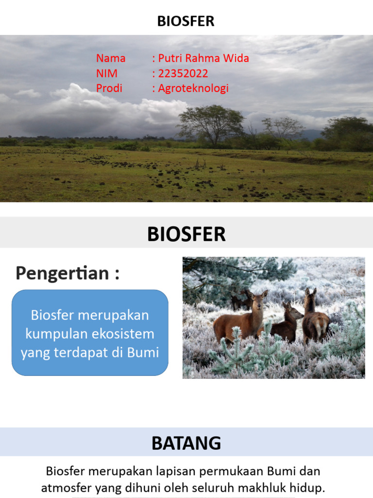 Biosfer Putri | PDF