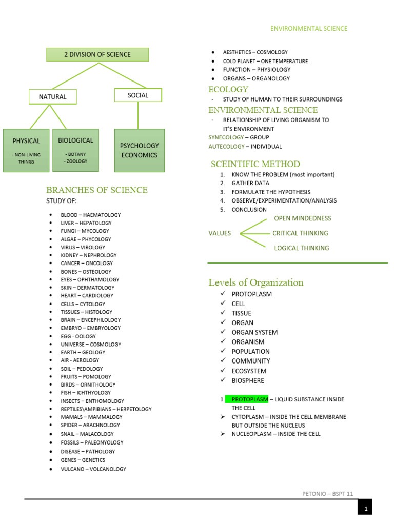 BRANCHES-OF-SCIENCE | PDF | Human Body | Cell (Biology)