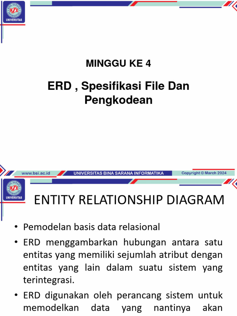 ERD, Spesifikasi File Dan Pengkodean: Minggu Ke 4 | PDF