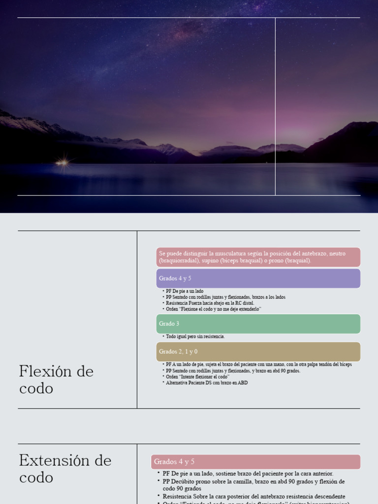 Codo | PDF | Codo | Anatomía