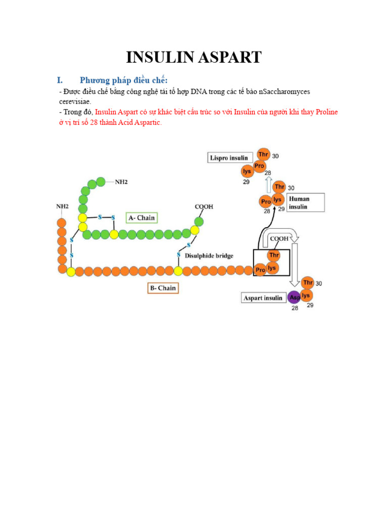 Insulin Aspart | PDF