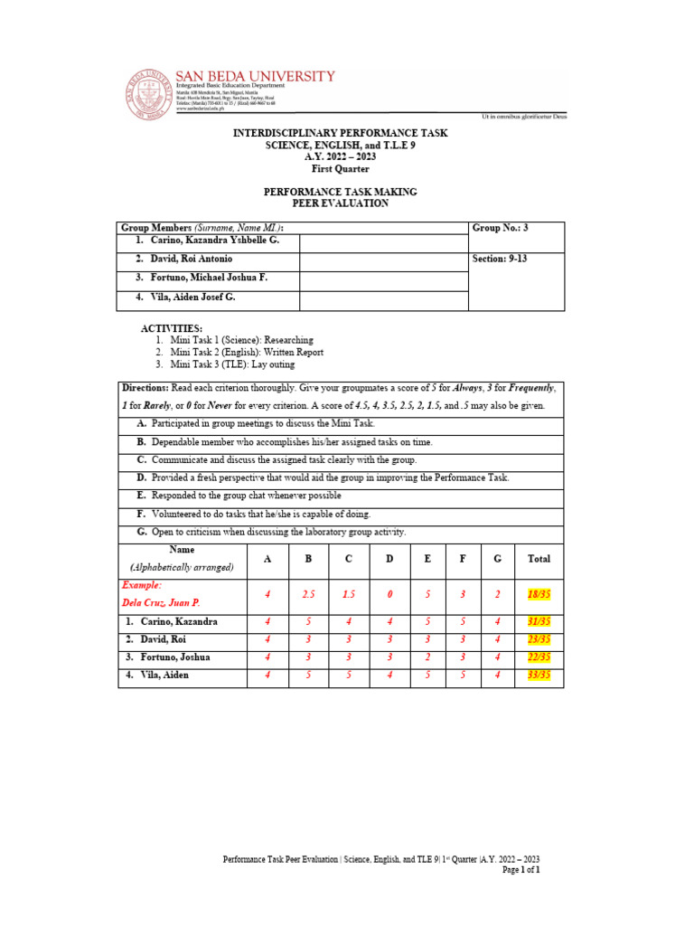 Peer Evaluation for Interdisciplinary Task | PDF