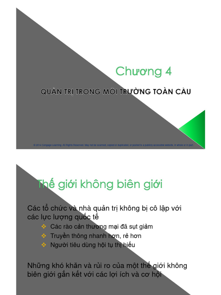 Daft11ePPT Ch04 | PDF