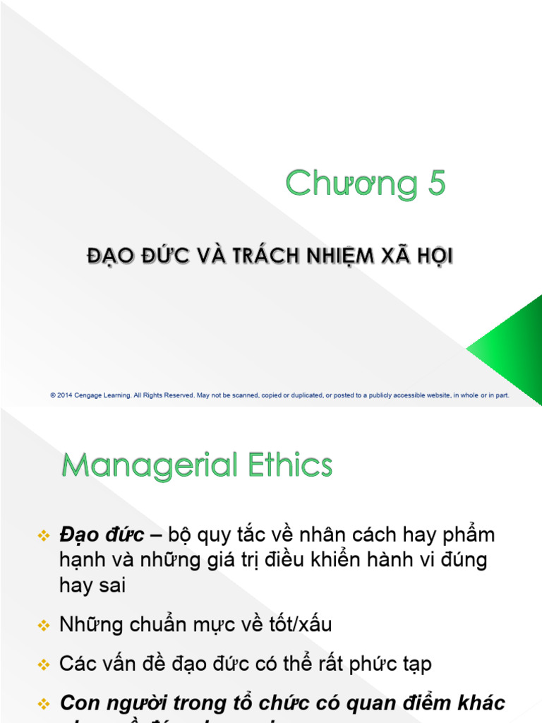 Daft11ePPT Ch05 | PDF