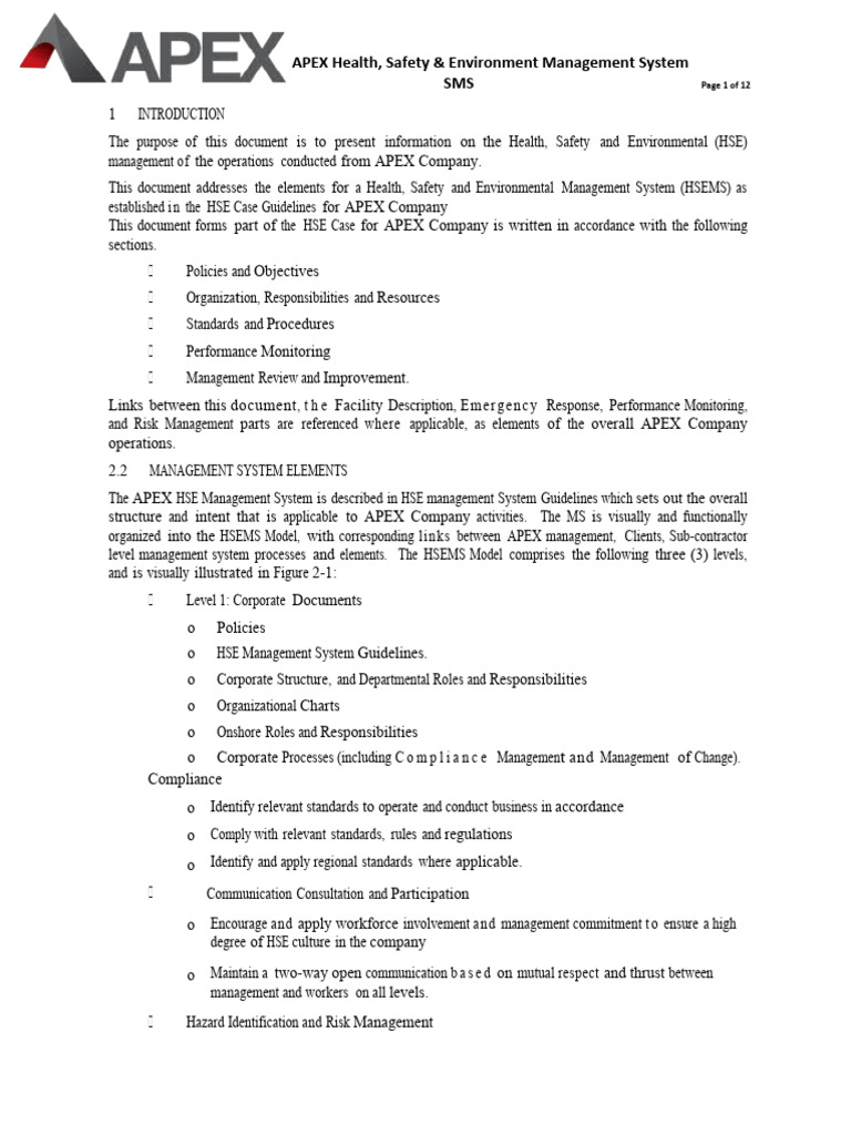 HSE Management System | PDF | Occupational Safety And Health | Risk