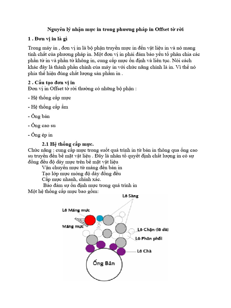 ĐƠN VỊ IN - OFFSET | PDF