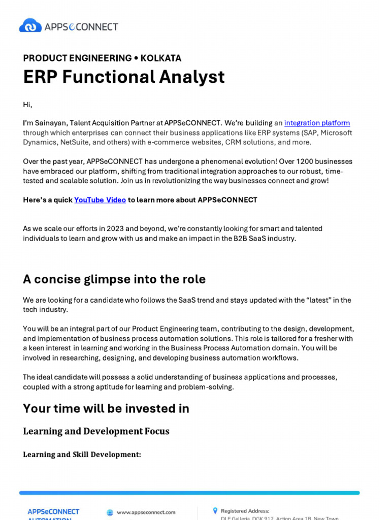 ERP Functional Analyst | PDF