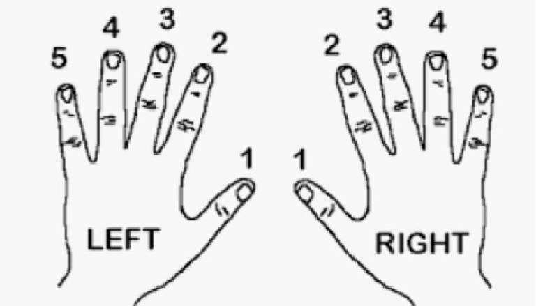Finger Numbers | PDF