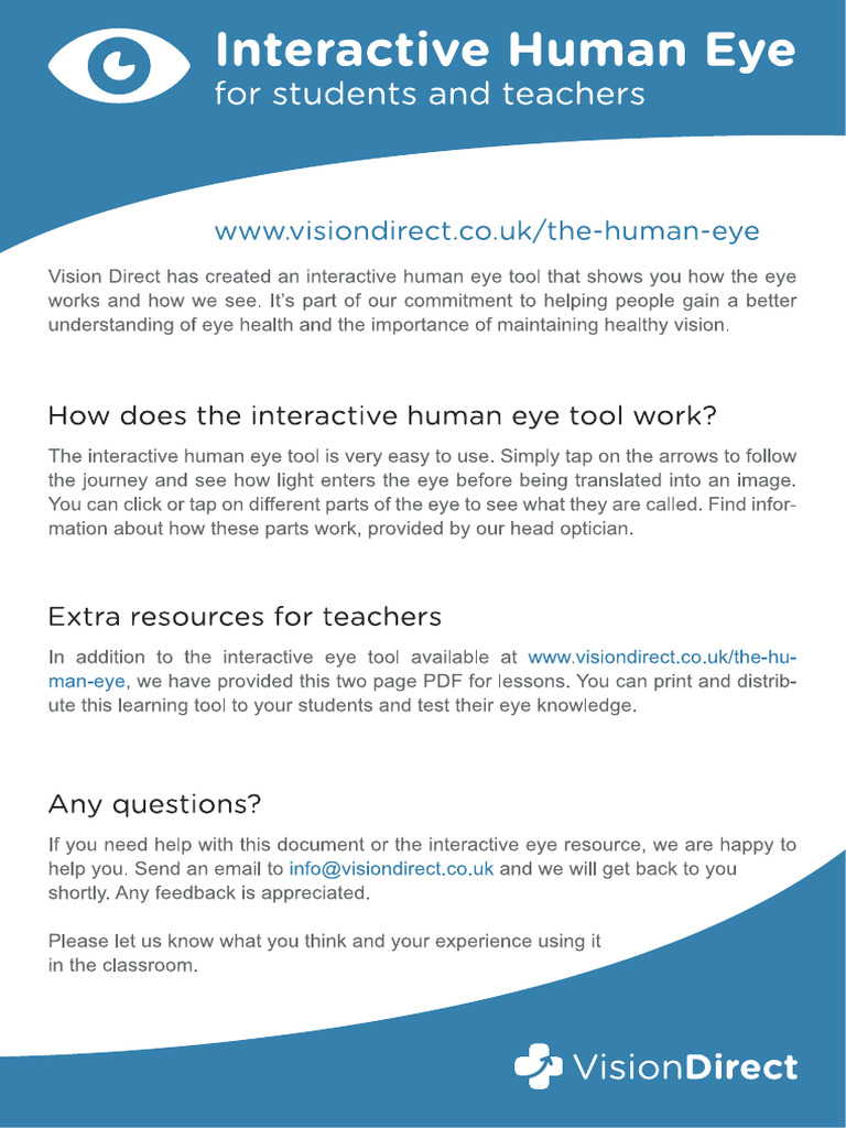 The Human Eye Worksheet English | PDF
