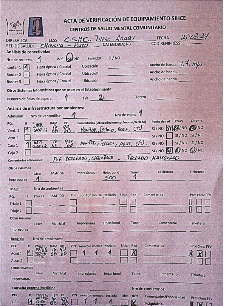 Documento Diresa Ica | PDF