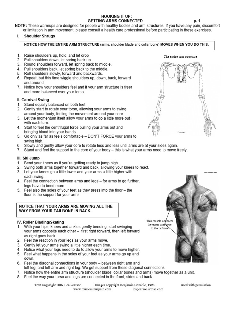 ARMS | PDF | Arm | Shoulder