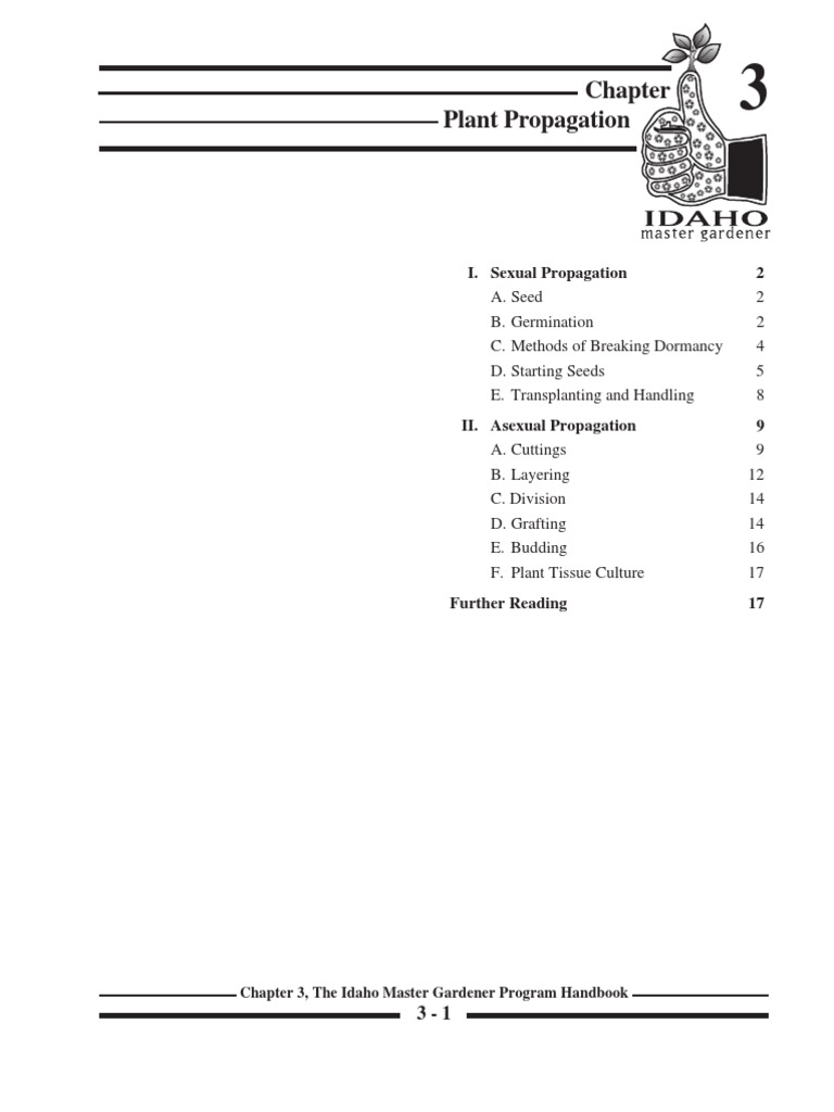 Plant Propagation | PDF | Seed | Germination