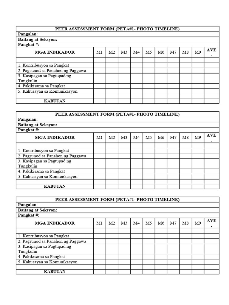 Peer Assessment Form (Peta#1 - Photo Timeline) | PDF