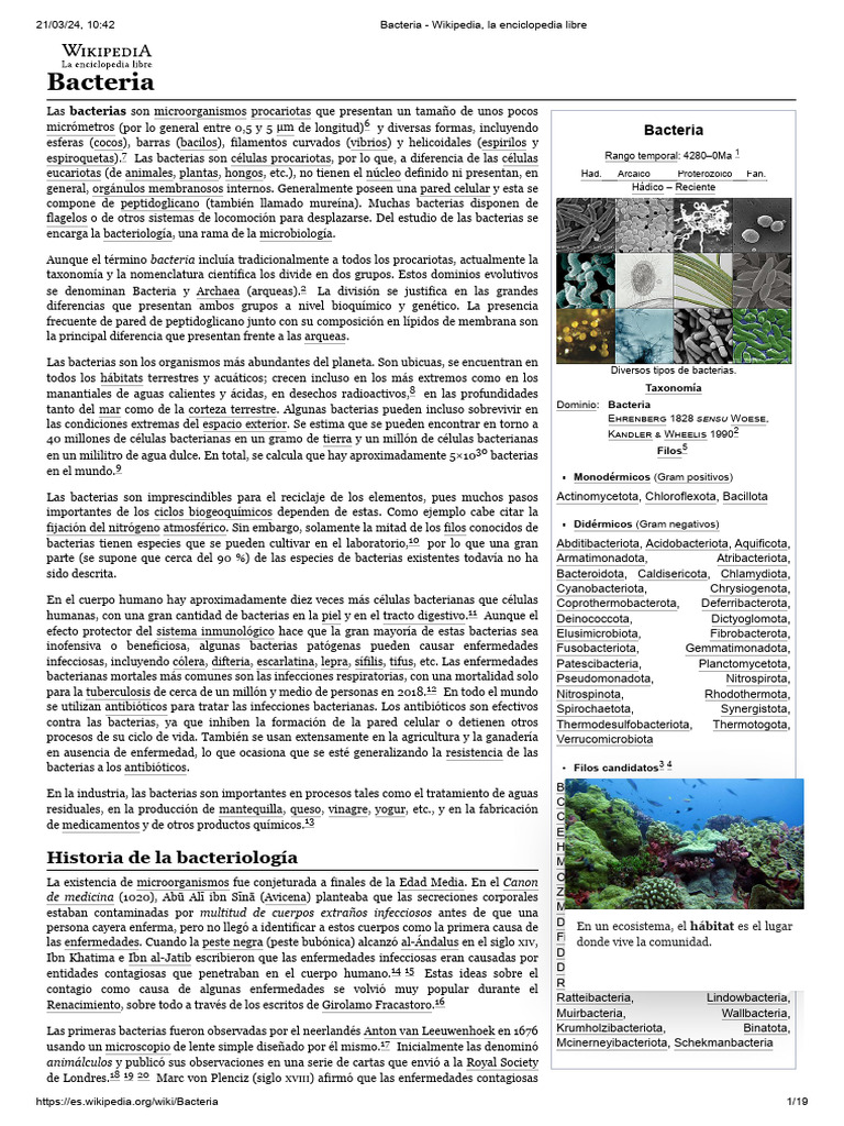 Bacteria - Wikipedia, La Enciclopedia Libre | PDF | Las bacterias ...
