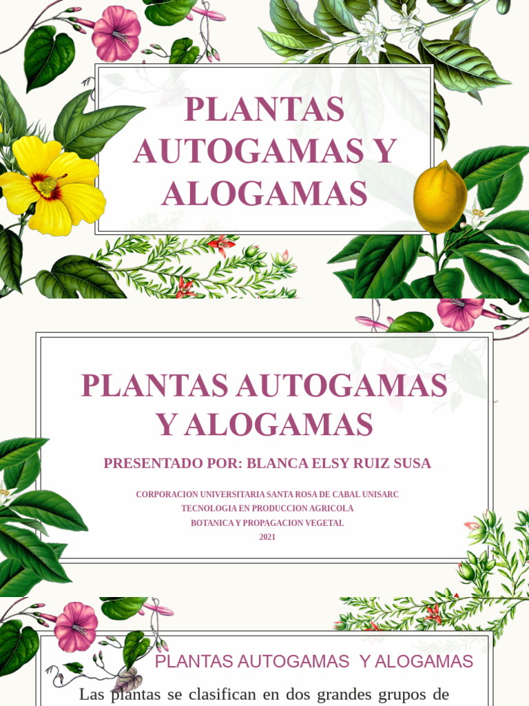 PLANTAS AUTOGAMAS Y ALOGAMAS | PDF | Botánica | Reproducción
