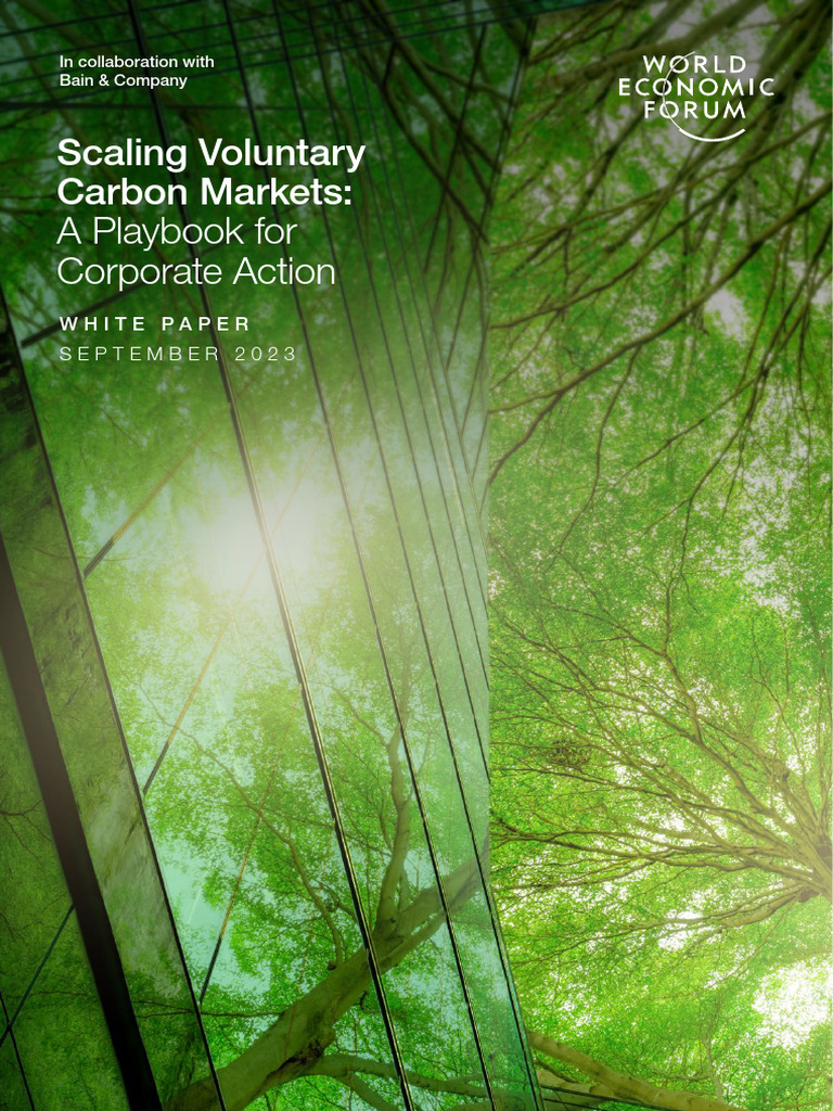 Carbon Report - WEF | PDF | Climate Change Mitigation | Climate Change