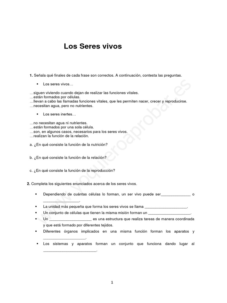 Los Seres Vivos Ejercicios Sin Resolver | PDF | Plantas | Biología Celular)