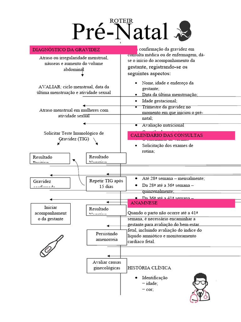 Roteiro Prenatal | PDF | Gravidez | Alimentos
