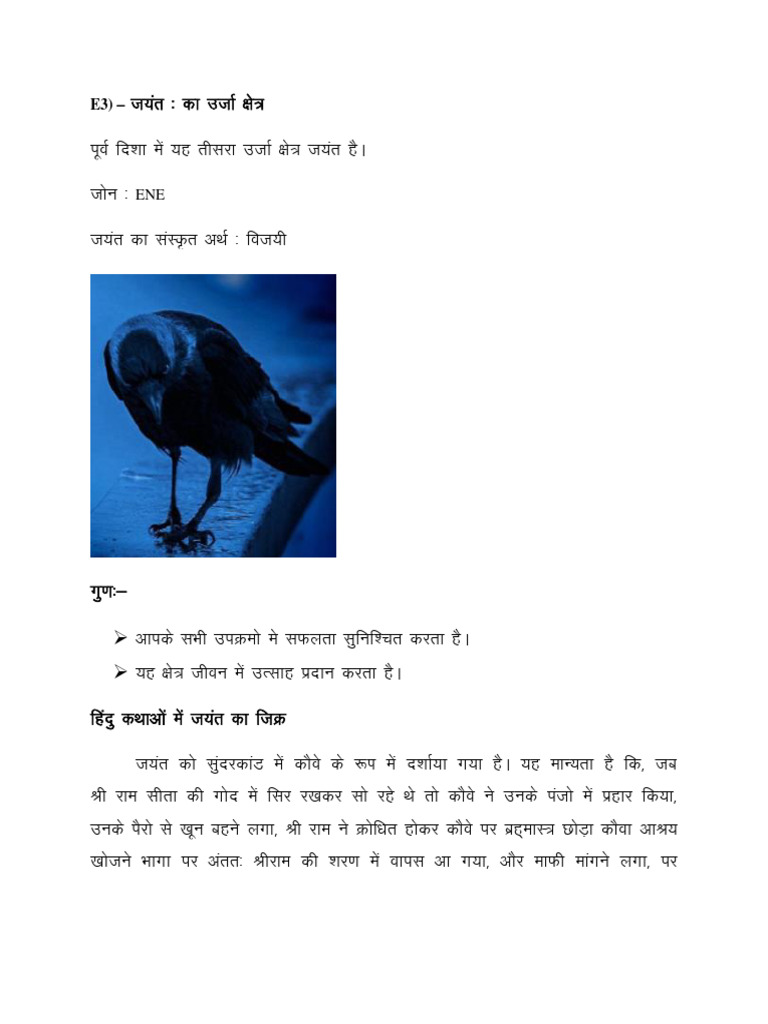E3 Jayant - Hindi | PDF