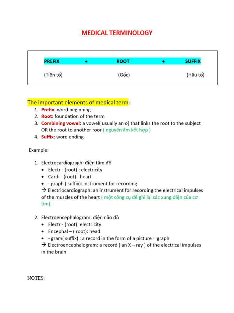 Medical Terminology | PDF