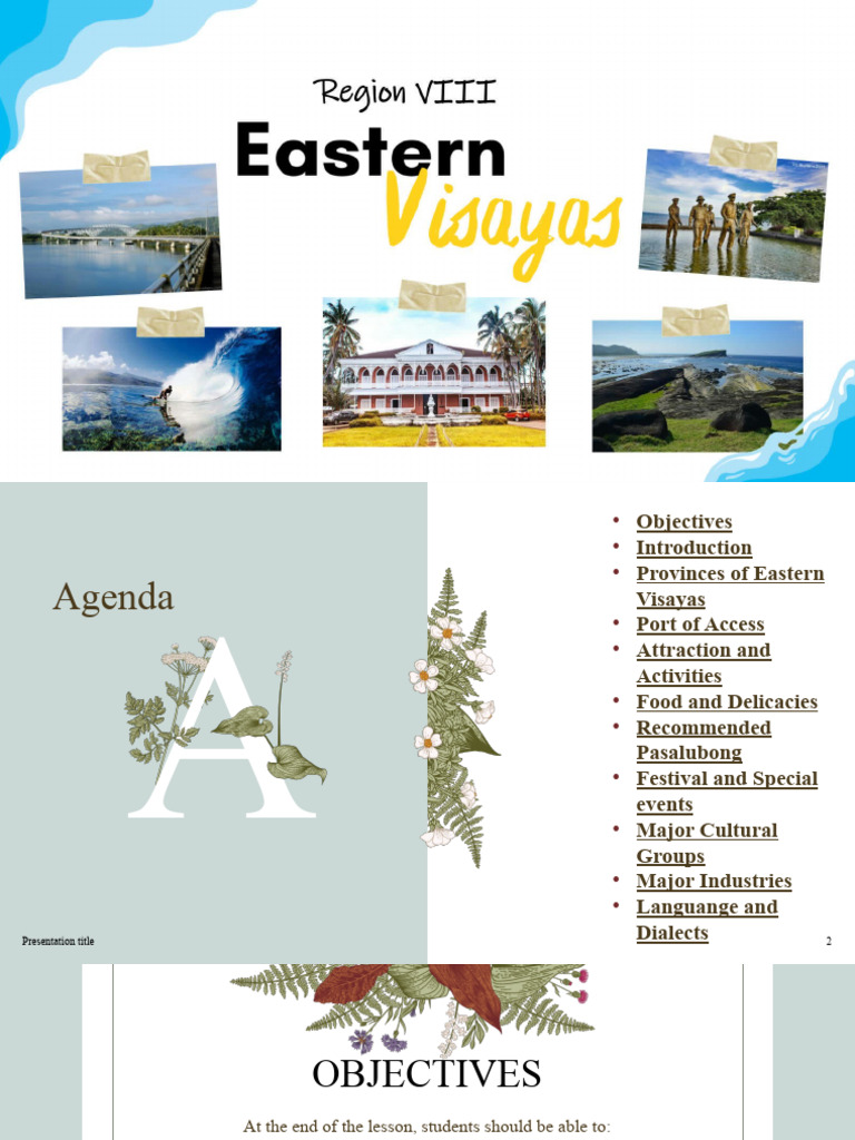 Eastern Visayas | PDF | Festival
